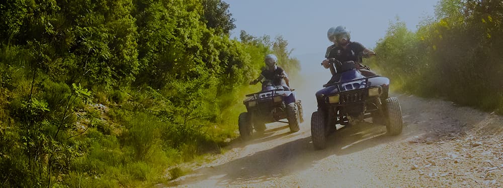 Automobile - Alberta - Optimum General Insurance